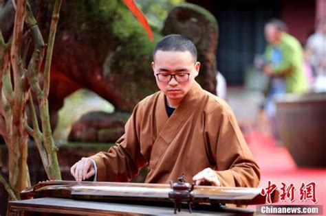 千年茶樹採摘制茶 海內外茶文化學者匯中國茶都 每日頭條