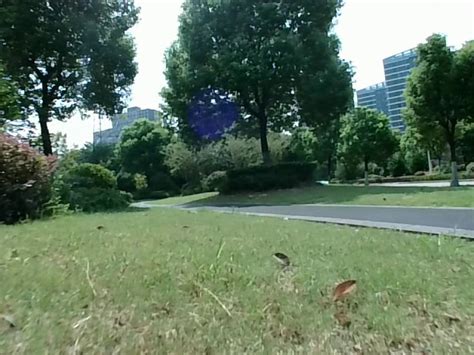 Lawnsegementation Instance Segmentation Dataset By Yolov5