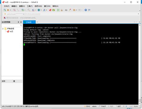 Linux上oracle 11g安装步骤图解超详细图文教程附带导入数据和新建数据库教程 Bluegoing 博客园