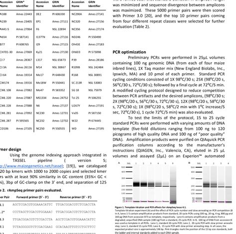 Diverse Maize Inbred Lines Download Table