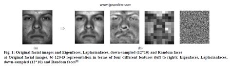 Face Recognition Using The Combination Of Weighted Sparse