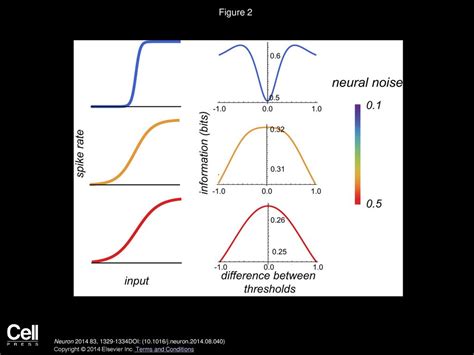 Toward Functional Classification Of Neuronal Types Ppt Download