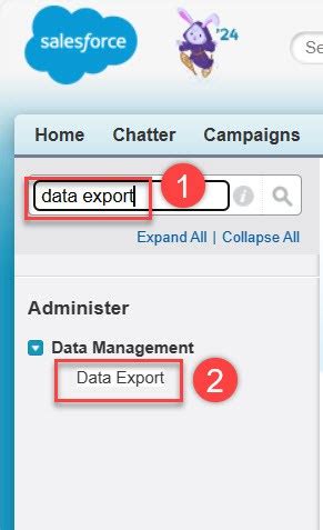 How To Export Data From Salesforce SalesForce FAQs