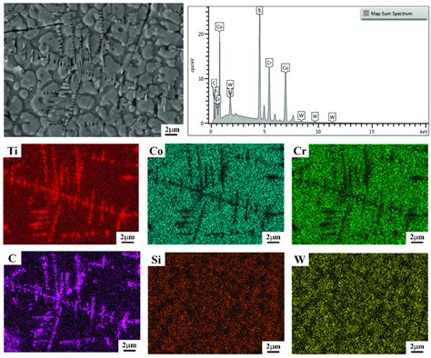 Elemental Distribution Of The Typical Dendritic Structure Via The Eds Download Scientific