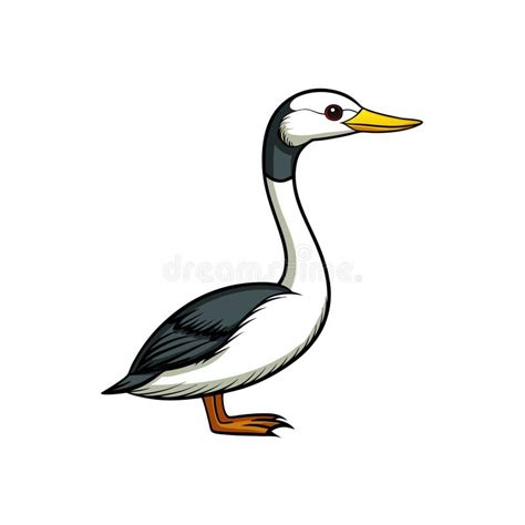 Grebe Illustration Stock Illustrations 2263 Grebe Illustration Stock Illustrations Vectors