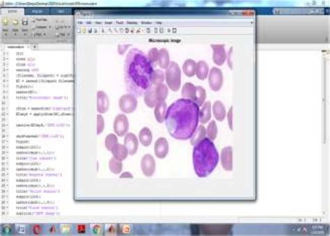 Microscopic Image Loaded From The Dataset Download Scientific Diagram