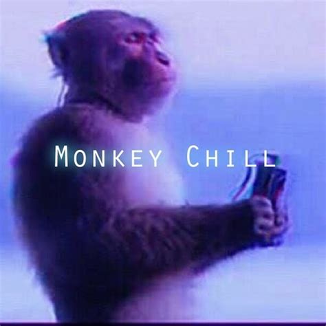 Monkey Chill Lofi YouTube