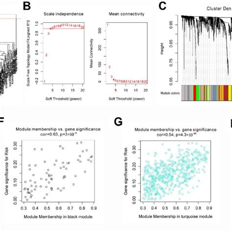 Weighted Correlation Network Analysis A Four Samples Show