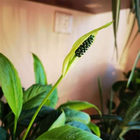 沐梓音话 的想法 当暴风雨过去 你不会记得自己是怎么度 知乎