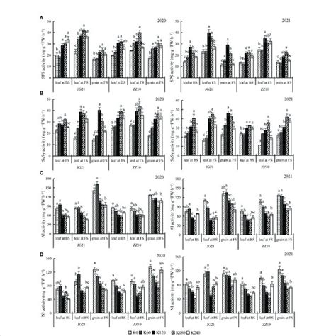 Effects Of Potassium Application Rate On Sucrose Metabolism Related Download Scientific Diagram