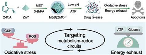 由代谢干预机制介导的刺激响应纳米药物可增强氧化还原抗癌治疗 Chemical Engineering Journal X Mol