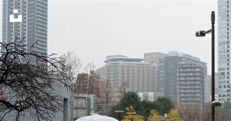 빗속에서 우산 아래 서있는 사람 사진 Unsplash의 무료 도쿄 이미지