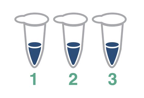 Proven Tips For Pcr Primer Design Neb