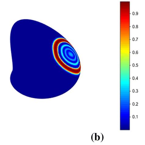 Numerical Simulation Of Target Waves On Different Implicit Surfaces Download Scientific Diagram