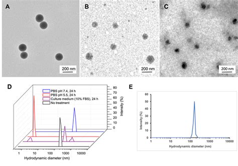 Morphology And Size Distribution Of The Nanoparticles A Tem Image Of