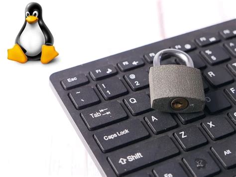 Cloak And Dagger Computing Top Privacy Focused Linux Distros