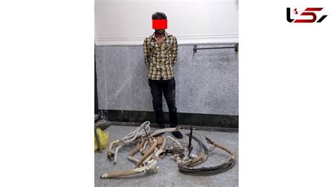 زندان ایستگاه آخر دزد لوله های مسی کولرگازی های آبادانی ها عکس