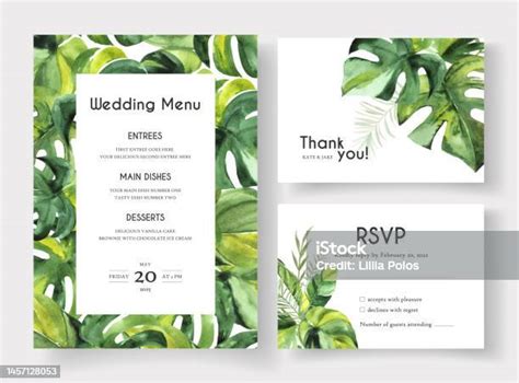 수채화 열대 잎과 웨딩 카드 세트 웨딩 메뉴 감사 및 Rsvp 템플릿 벡터 0명에 대한 스톡 벡터 아트 및 기타 이미지 0명 Rsvp 감사합니다 Istock