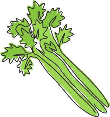 Celery PNGs For Free Download