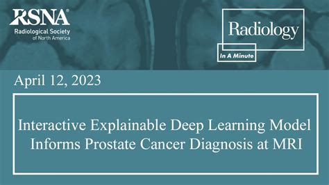 Interactive Explainable Deep Learning Model Informs Prostate Cancer