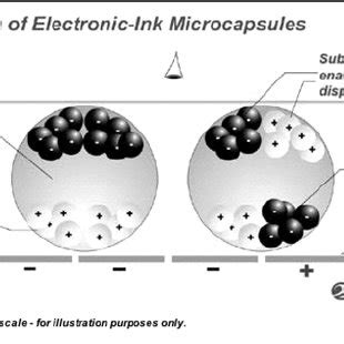 Sketch Of The E Ink Technology E Ink 2005 Download Scientific Diagram