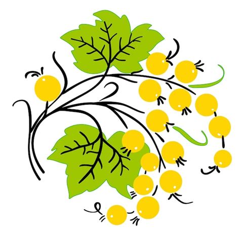 Premium Vector Ripe Berry