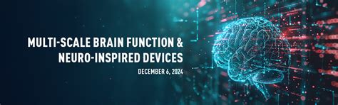 Multi Scale Brain Function And Neuroinspired Devices Amrita Vishwa
