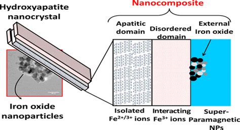 纳米羟基磷灰石中铁掺杂的磁性。 Inorganic Chemistry X Mol