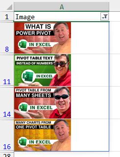 Excel Display Online Pictures In A Cell Using A Formula Excel Tips MrExcel Publishing