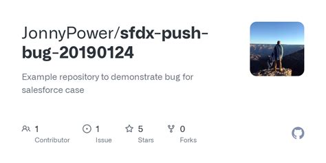 github jonnypower sfdx push bug 20190124 example repository to demonstrate bug for salesforce