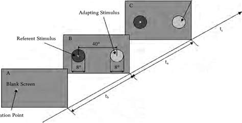 The Sequence Of Phases In The Experiment With The Method Of Constant