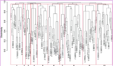 Dendrogram For T N M A C And L On Dataset 2 And Cutting The Download Scientific Diagram