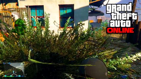 CACHE CACHE GTA 5 ONLINE YouTube