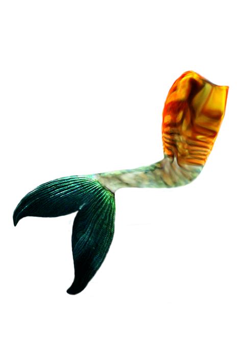 Mermaid Tail 1 Png By Zozziegirl On Deviantart