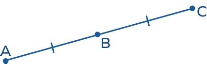 Segment Bisector Definition Types Examples Facts FAQs