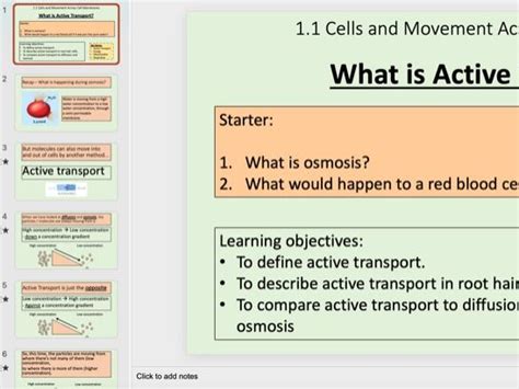 Wjec Gcse Biology Topic 1 Cells And Movement Across Cell Membranes Complete Lesson Pack
