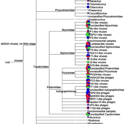 Overview Of Relative Abundance And Distribution Of Viral Taxonomic