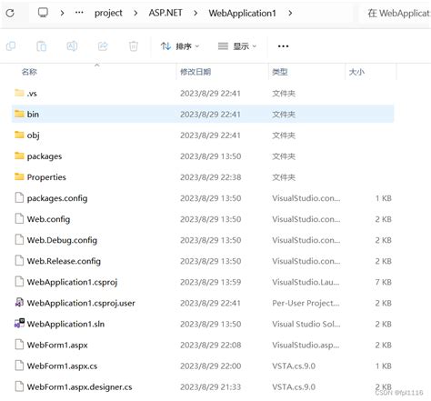 Visual Studio 创建ASP NET Web应用程序 NET Framework 发布并部署到局域网 及常见权限问题和不列出目录问题解决 visual studio