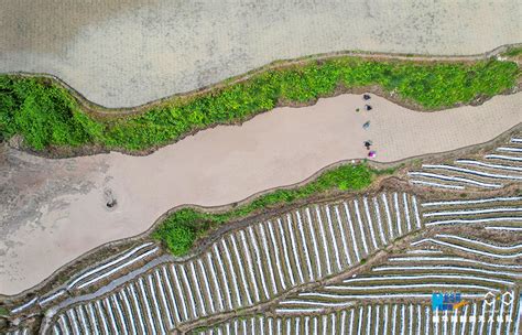 飞阅中国万亩高山梯田雕刻武陵大地指纹