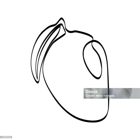 연속 한 줄 그리기 망고 벡터 그림입니다 흰색 배경에 검은 라인 아트 0명에 대한 스톡 벡터 아트 및 기타 이미지 0명