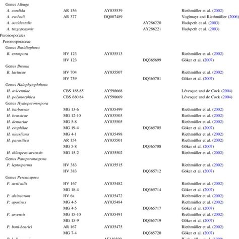 Pdf Phylogeny Of The Genus Pythium And Description Of New Genera