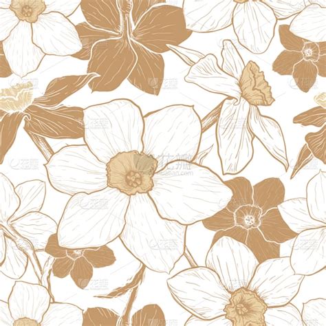 水仙花 四方连续纹样 轮廓 自然 白色背景 图像 花朵 壁纸 花 装饰素材 花瓣网