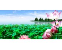 现代诗池塘的配图 现代诗池塘的画 第4页 大山谷图库