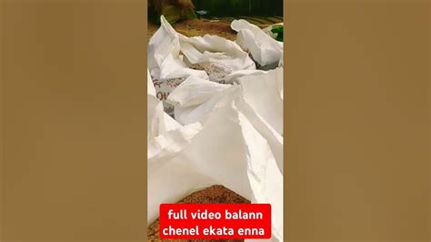 ඔන්න ඉතින් මාස හතරක අපේ මහන්සියෙ අවසාන ප්‍රතිඵලය 🌾 ️ Youtube