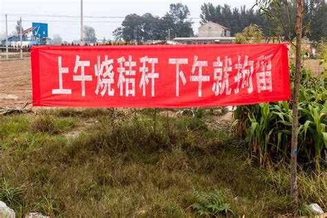 秸秆禁烧还田弊端显现种地成本增加产量低农民损失谁承担
