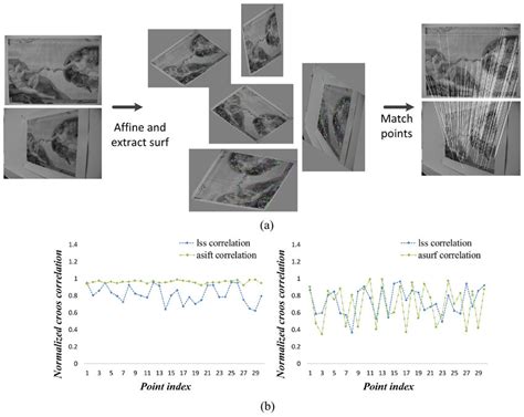 A Test Image And The Affine Surf Method Procedure B The First Line