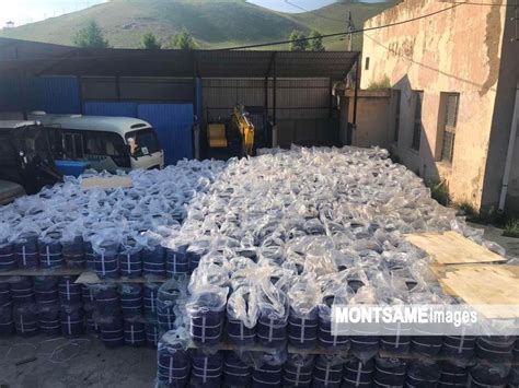 АРХАНГАЙ Ойн хөнөөлт шавжтай тэмцэх бактерийн био бэлдмэл иржээ