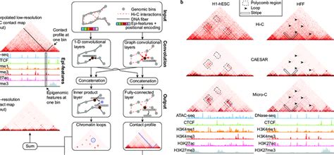 Overview Of The Model A Model Architecture The Model Inputs Are A