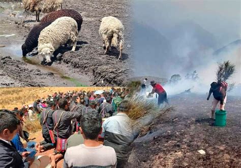 Emergencia En Apurímac Más De 20 Incendios Forestales Y Sequía Azotan