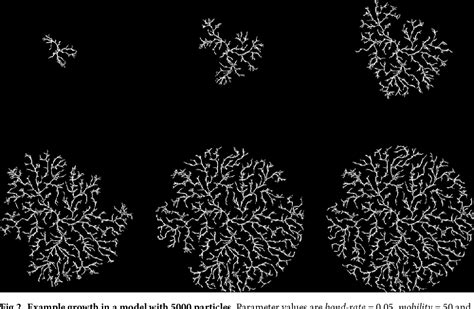 Figure 1 From A Triangular Model Of Fractal Growth With Application To Adsorptive Spin Coating